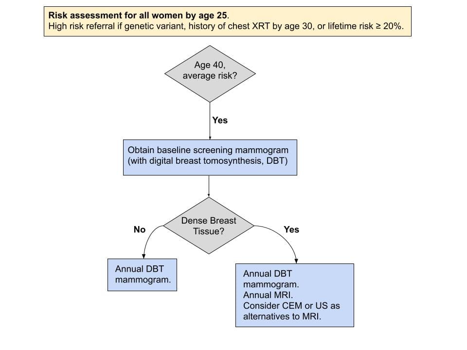 Breast Density’s Relationship to Cancer